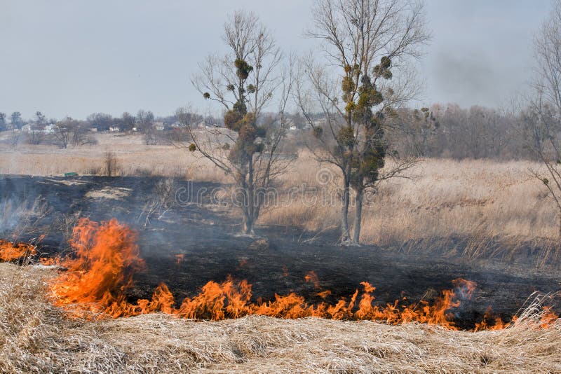 Field on fire stock image. Image of smoke, horizontal - 25055501