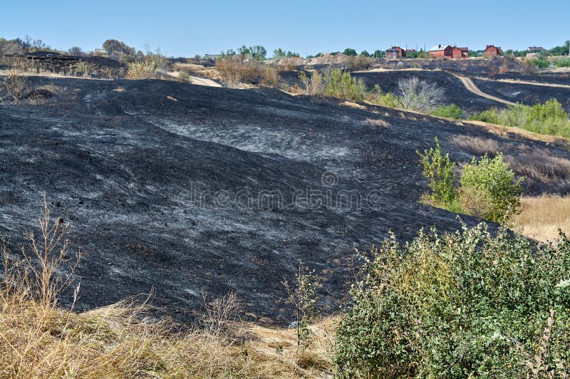 After a field fire grass stock image. Image of flare - 385747427