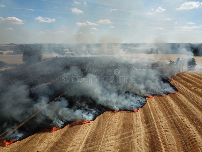 Field on fire stock image. Image of field, working, fire - 124230805