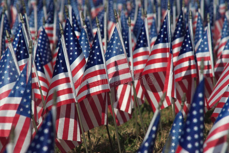 Field of Flags stock photo. Image of states, democracy - 1683518