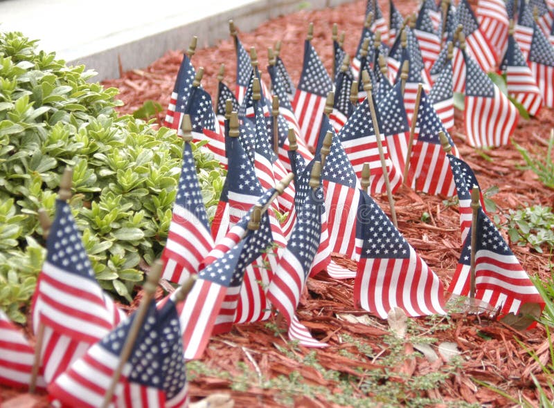 Field of flags stock image. Image of july, patriotic, small - 2915043