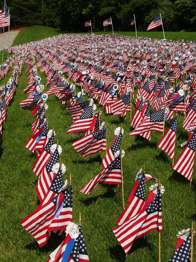 Field of Flags stock image. Image of flying, colors, freedom - 7018219
