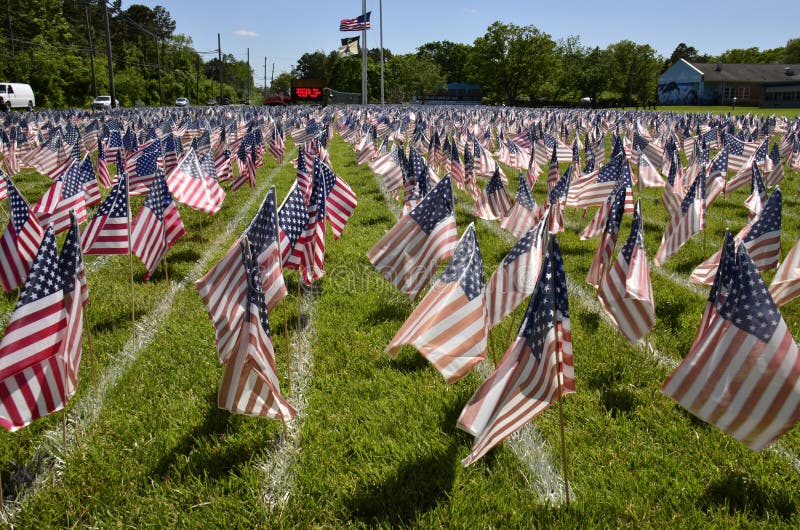 Field of flags stock photo. Image of starsandstripes - 38863556