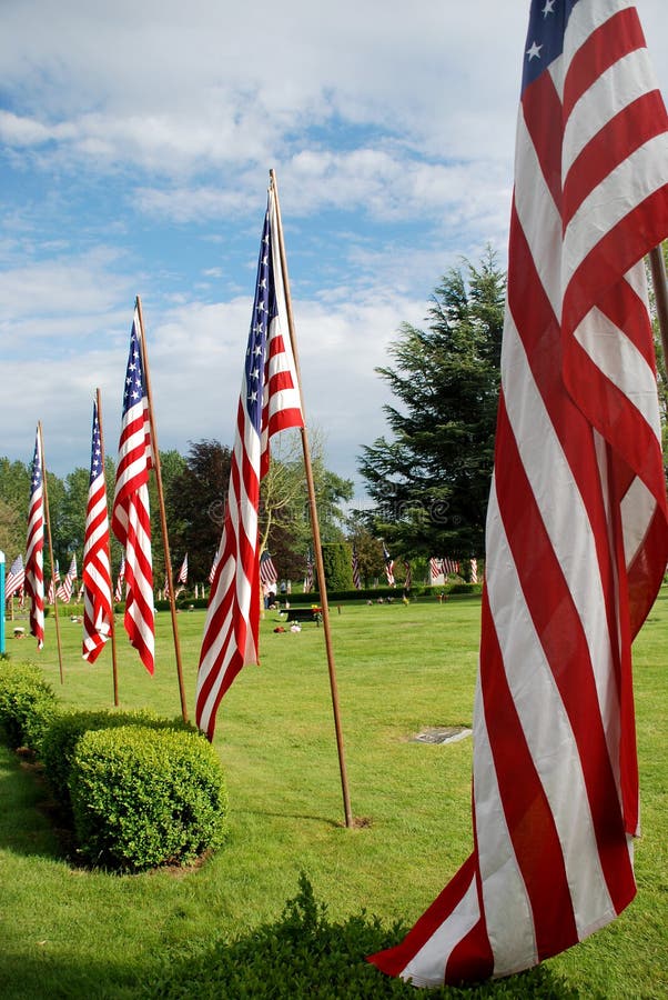 Field of Flags - Vertical stock image. Image of national - 6062861