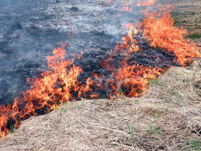 Field flame stock image. Image of wilderness, burning - 19918079