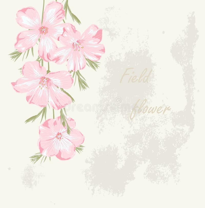Field flower stock vector. Illustration of beautiful - 32474617
