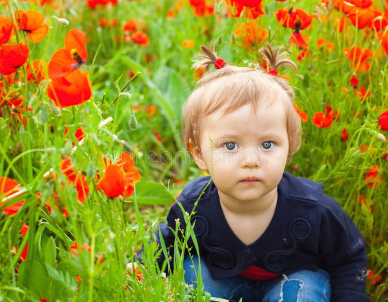 Field of flowers stock image. Image of park, green, infant - 73402371