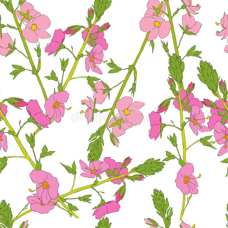 Field flowers stock vector. Illustration of field, design - 36505595