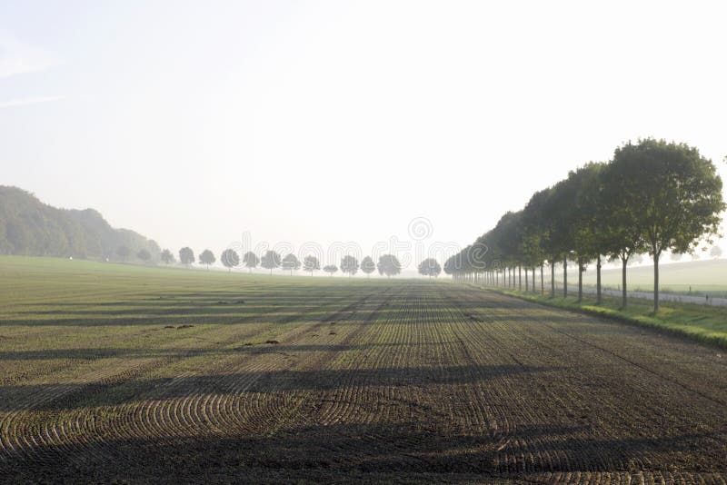 Field in fog. stock image. Image of countryside, farm - 15976841