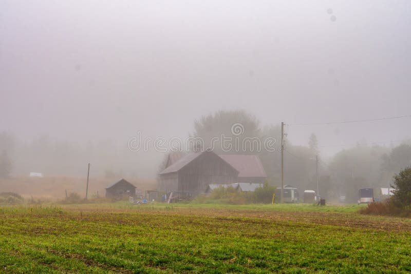Field with fog stock image. Image of grassland, agriculture - 266711287