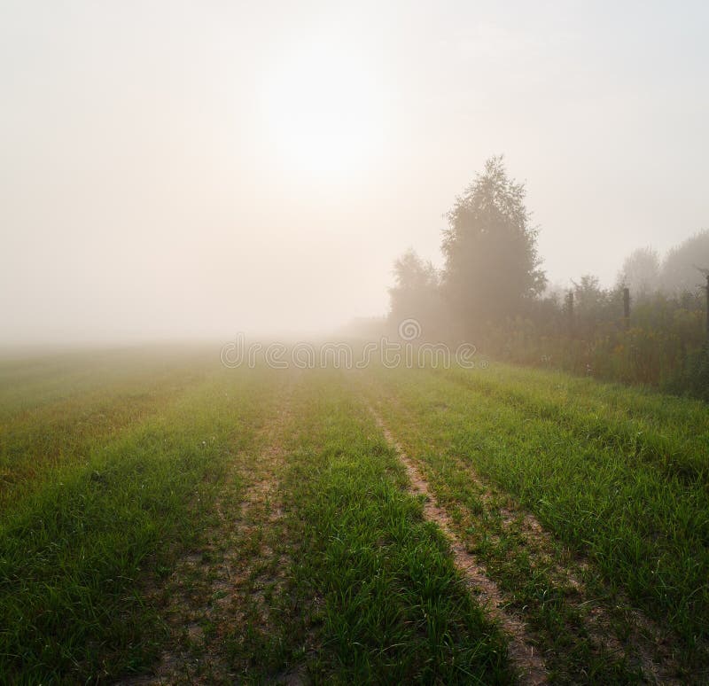 Field in the fog stock image. Image of agriculture, mystical - 111397181