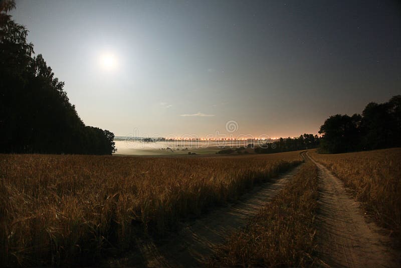 Field fog night landscape stock image. Image of field - 50332669