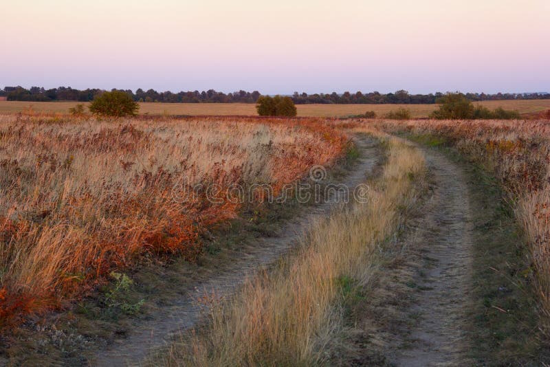 Field with a Footpath at Sunset Stock Image - Image of lush, landscape ...