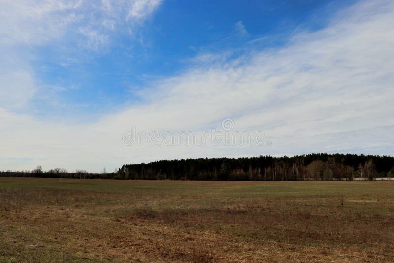 Field and Forest in the Distance 1 Stock Photo - Image of cloud, steppe ...