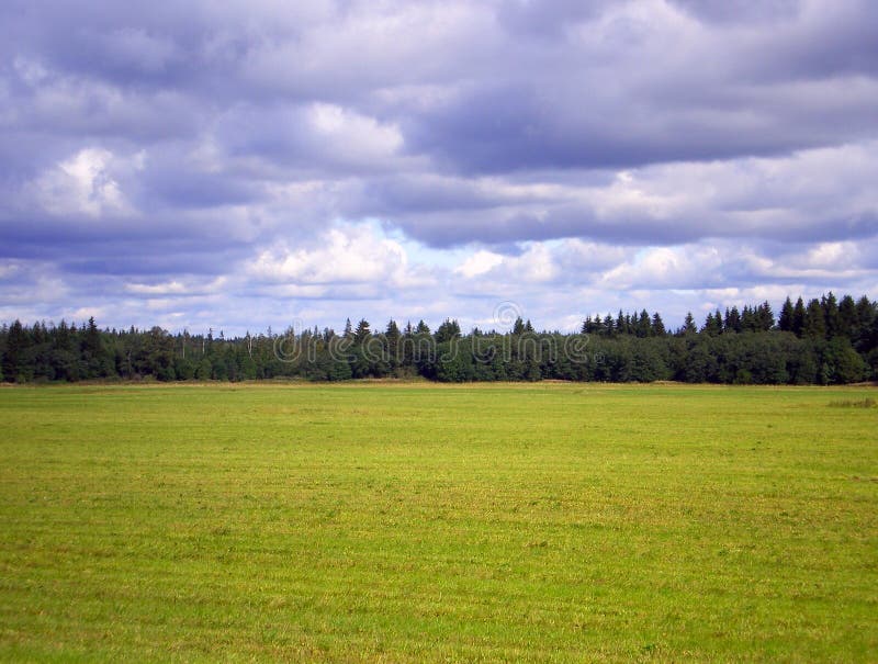 Field, forest and sky. stock photo. Image of country, meadow - 6248238