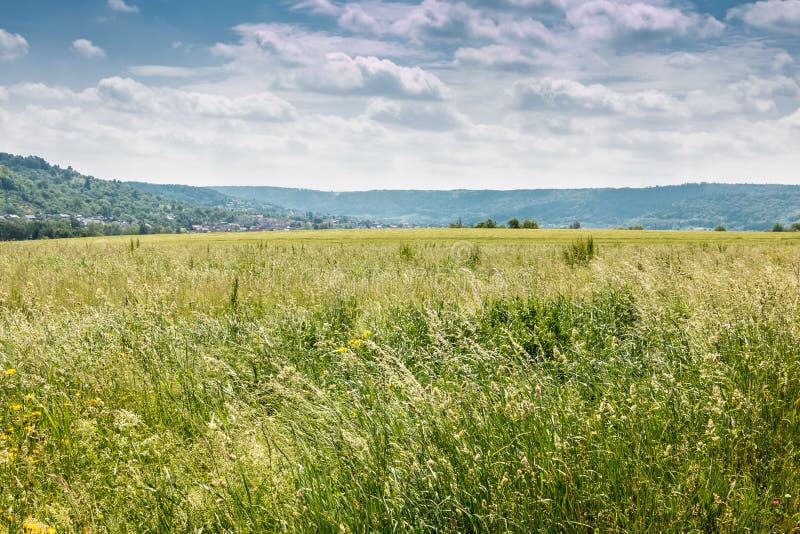 Field and forest stock photo. Image of colorful, peaceful - 102813556