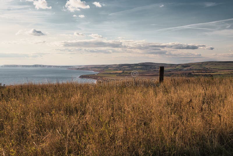 Field with Fry Grass on the Coast of the Sea on the Isle of Wight Stock ...