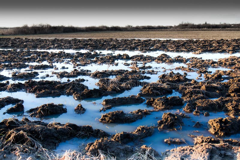 Field full of mud stock image. Image of rain, period - 50045099