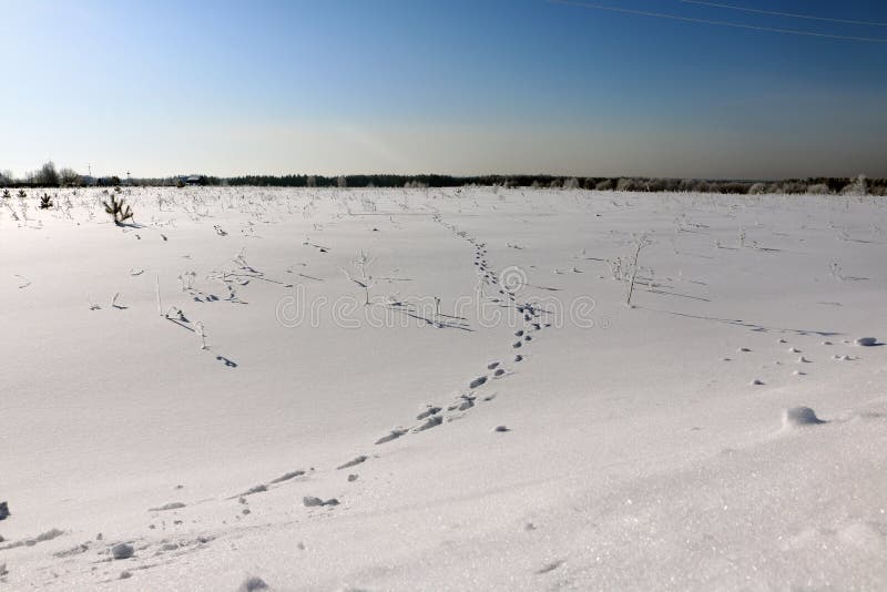 Field full of snow stock photo. Image of season, landscape - 70243572