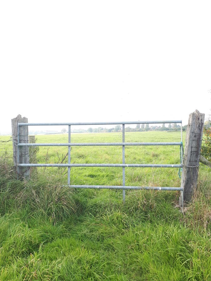 Field Gate stock image. Image of gate, metal, field - 139875847