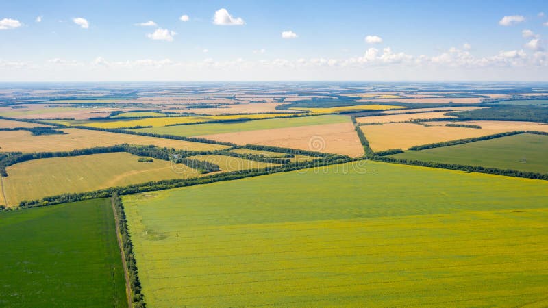 Field Geometry, Top View of Multi-colored Fields As If Drawn on a Ruler ...