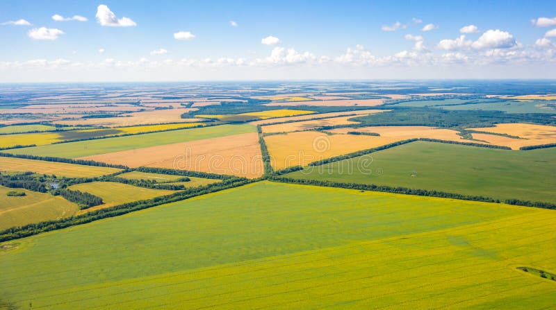Field Geometry, Top View of Multi-colored Fields As If Drawn on a Ruler ...