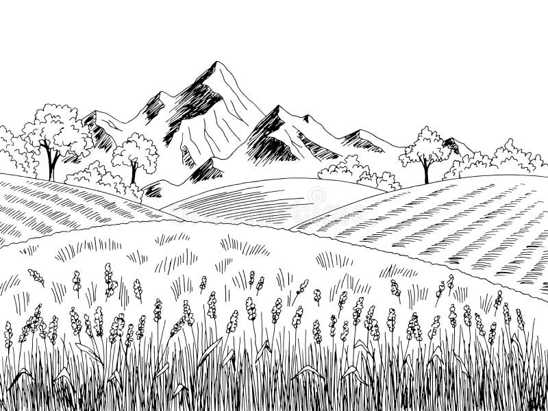 Field Graphic Black White Landscape Sketch Illustration Vector Stock ...