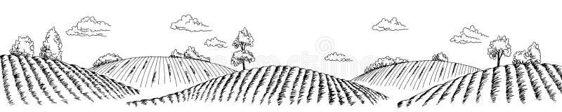 Field Graphic Black White Long Landscape Sketch Illustration Vector ...