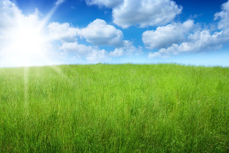 Sunset Sun and Field of Green Grass Stock Image - Image of lawn, beam ...