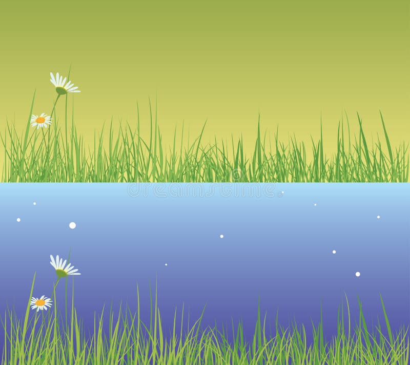 Grass in the Night Wallpaper Landscape Beautiful Nature Sillouhette ...