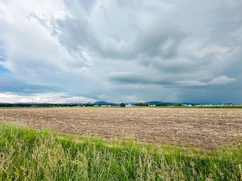 Field of Grass with a Cloudy Sky in the Background Stock Image - Image ...