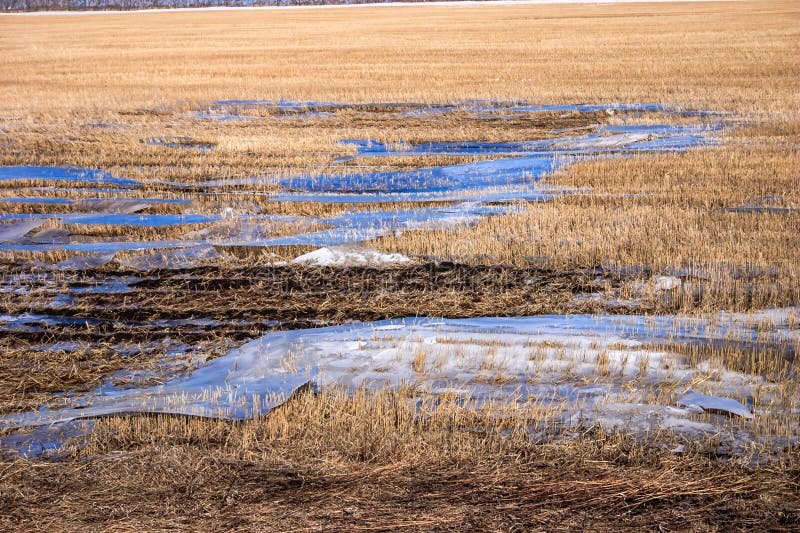 A Field of Grass with a Large Puddle of Water in the Middle Stock Photo ...