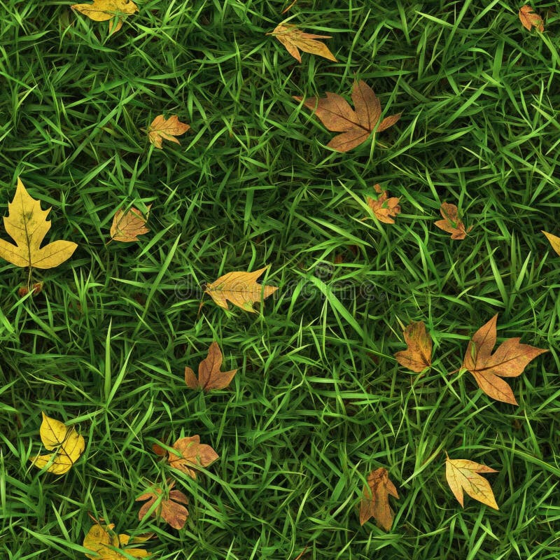 A Field of Grass with Leaves Scattered on the Ground. Seamless Texture ...