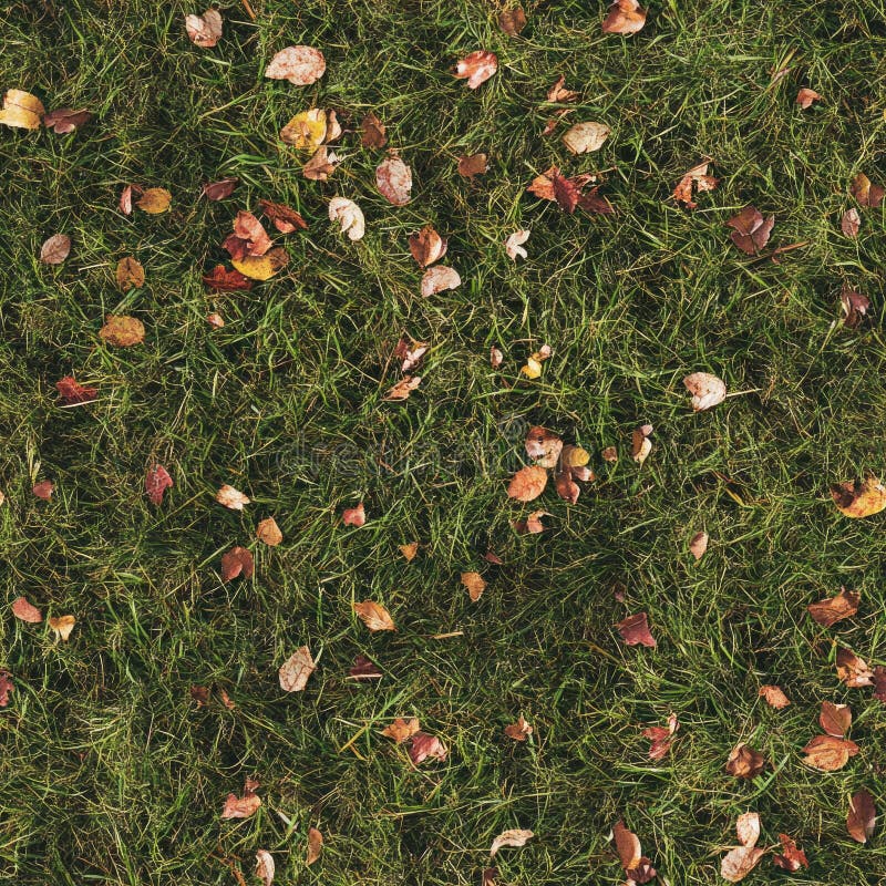 A Field of Grass with Leaves Scattered on the Ground. Seamless Texture ...
