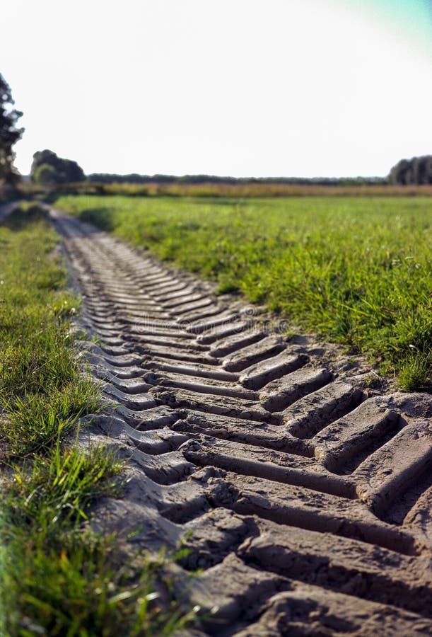 Road, Path, Sky, Field Picture. Image: 117789136