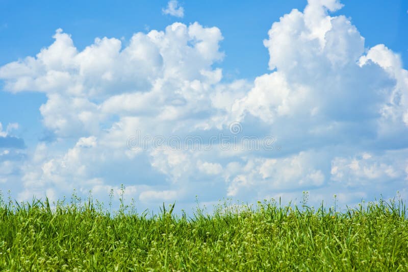 Field of Grass, Sky with Clouds Stock Photo - Image of cloud, blue ...
