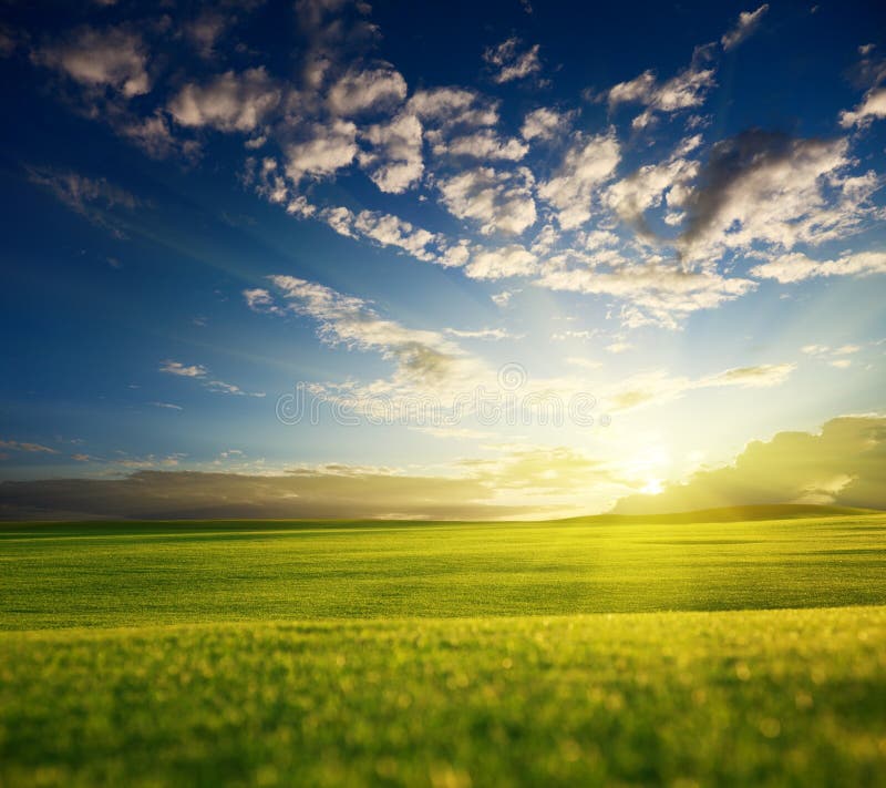 Grass field sunset stock photo. Image of clean, field - 7692132