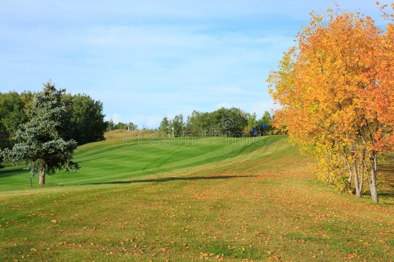 A Field of Grass with Two Trees in the Background Stock Photo - Image ...