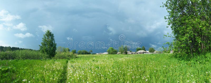 Field of Grass in the Village Stock Photo - Image of beautiful, flowers ...