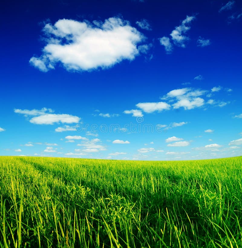 Field of Green Grass and Blue Cloudy Sky Stock Image - Image of bright ...