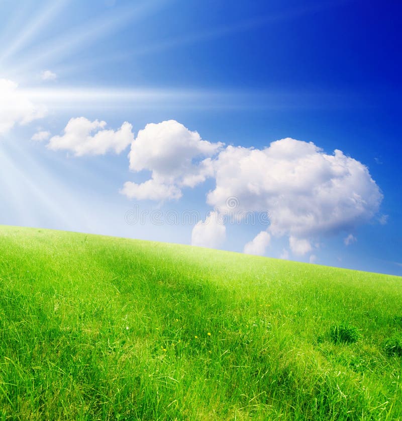 Grass and blue sky stock image. Image of feild, green - 62334507
