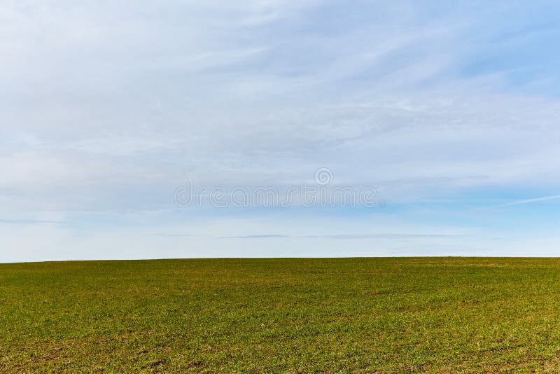 Field with Green Grass Horizon Blue Sky Stock Image - Image of horizon ...