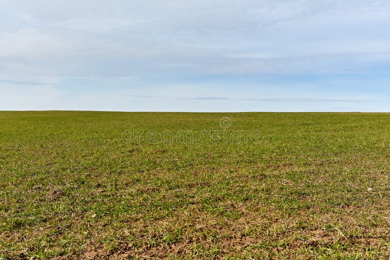 Grass Horizon stock photo. Image of countryside, field - 17619004