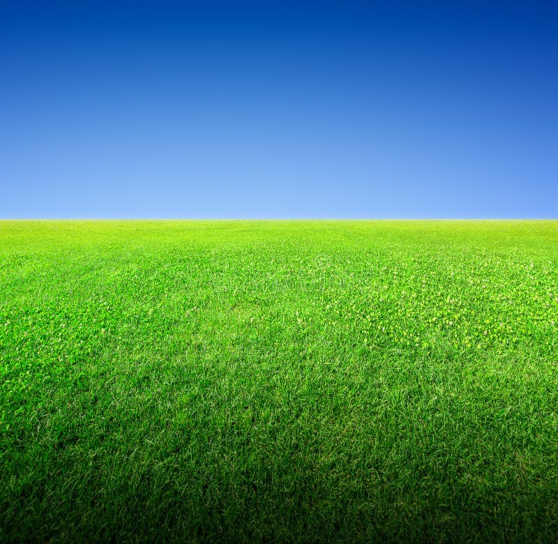 Field of Green Grass and Sky Stock Image - Image of cloud, colorful ...