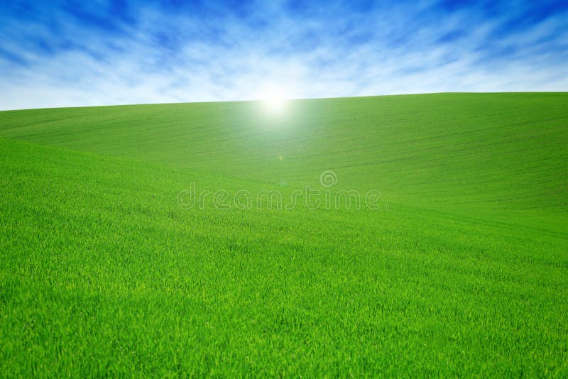 Field with Green Grass and Sky with Clouds. Clean, Idyllic, Beautiful ...