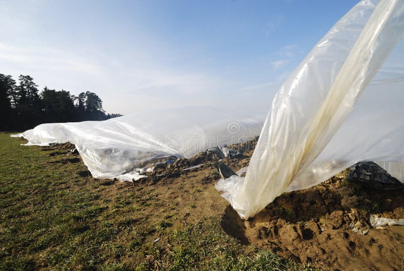 Plastic Foil stock image. Image of plantation, field - 30214991