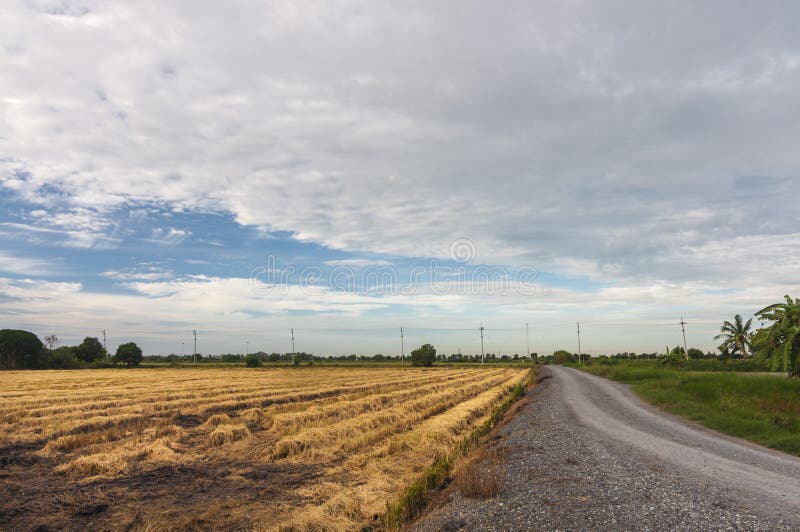 Field after Harvest and Preparation Planting. Stock Photo - Image of ...