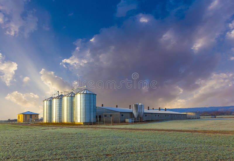 Field in harvest with silo stock image. Image of industrial - 154269341