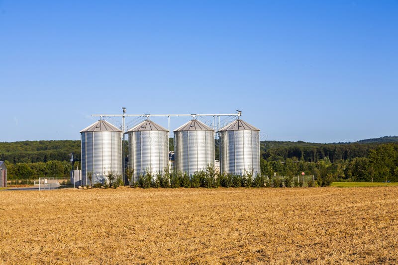 Field in harvest with silo stock photo. Image of harvest - 58233144