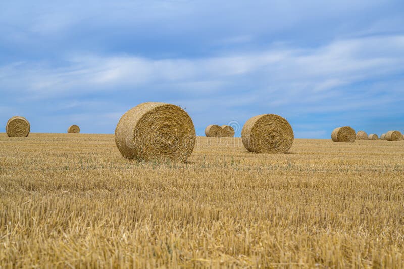Field with Hay Bales and Clouds in the Background. Stock Photo - Image ...